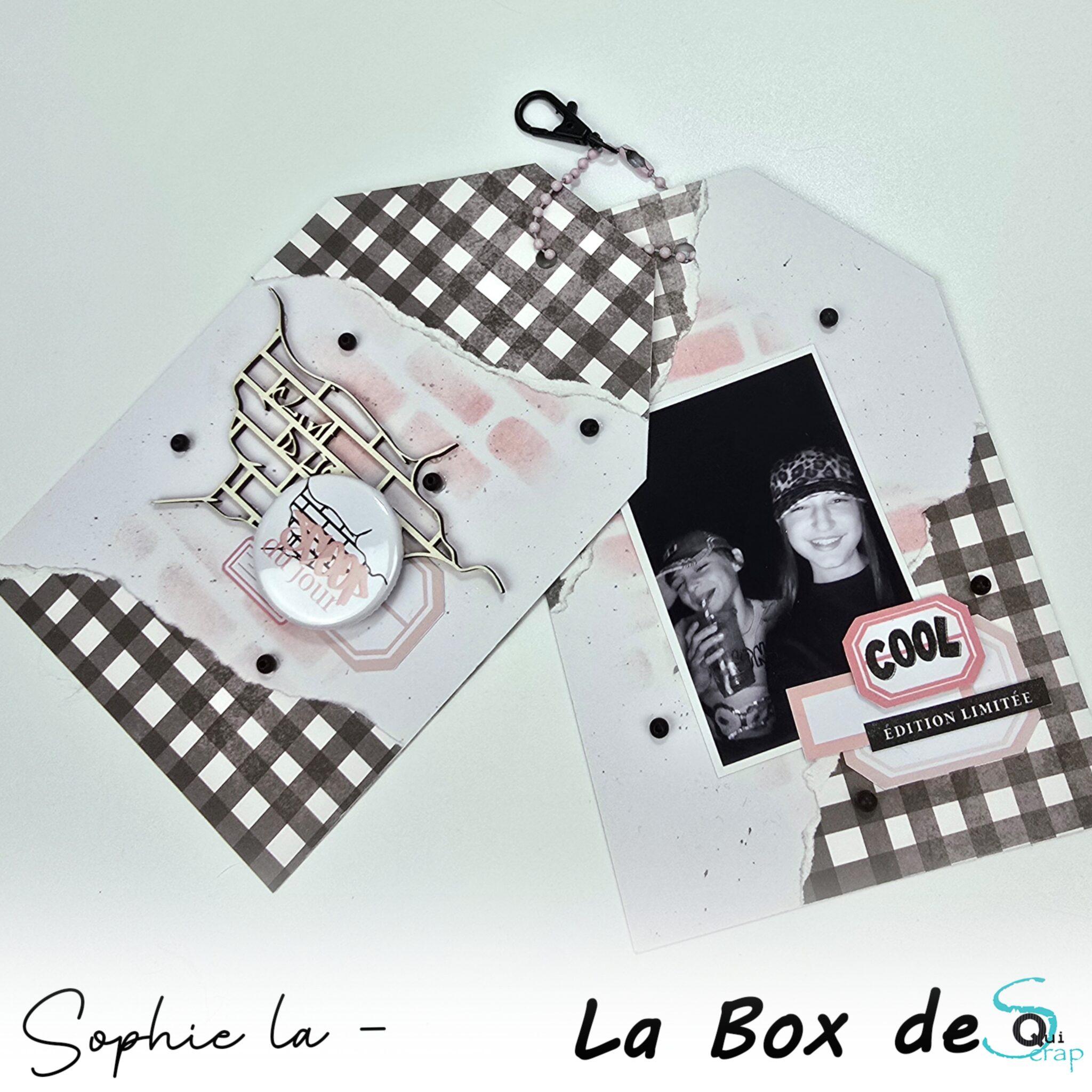Tuto n°6 pour la Box de Novembre 2025 par Sophie La - QUISCRAP